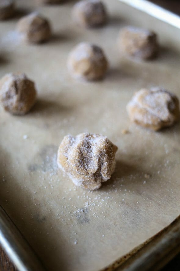 Soft and Chewy Ginger Spice Cookies