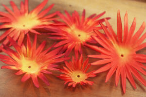 Flower Turkeys - Our Best Bites