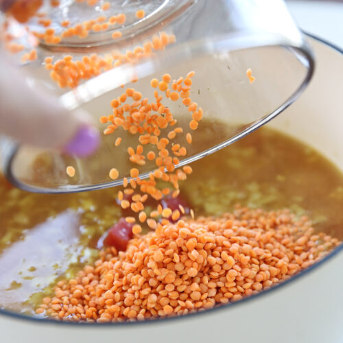 Indian-Spiced Lentils - Our Best Bites
